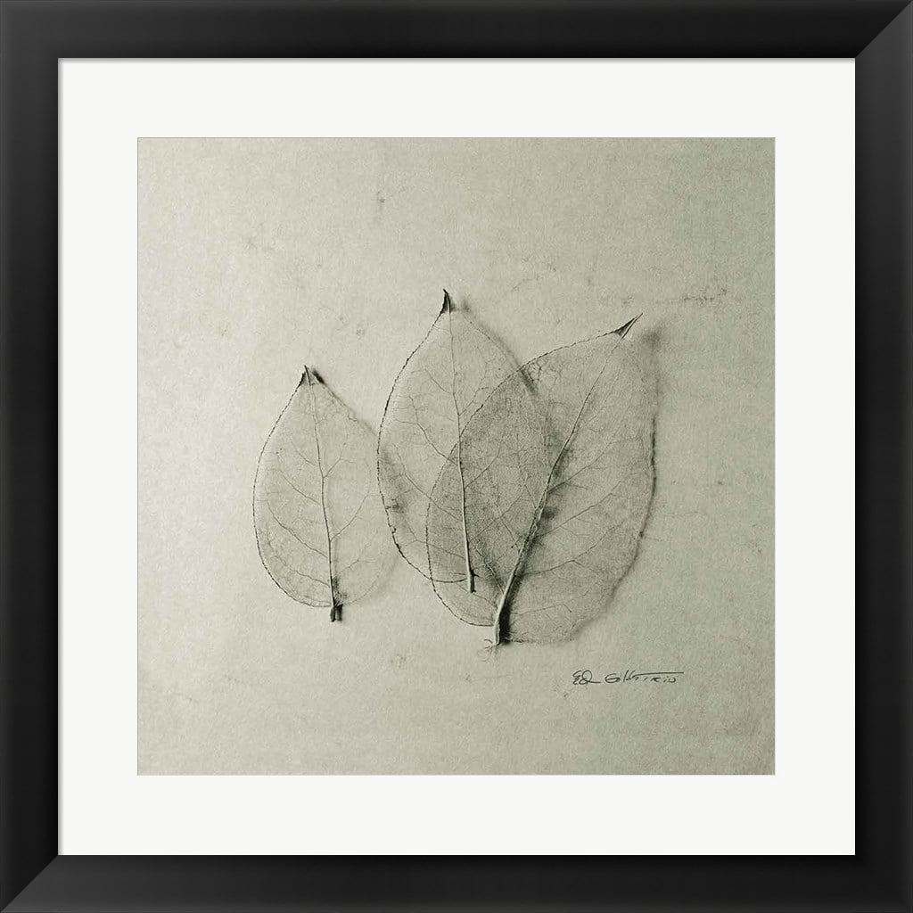 Great Art Now Trio of Skeleton Leaves by Ed Goldstein, Framed Wall Art ...