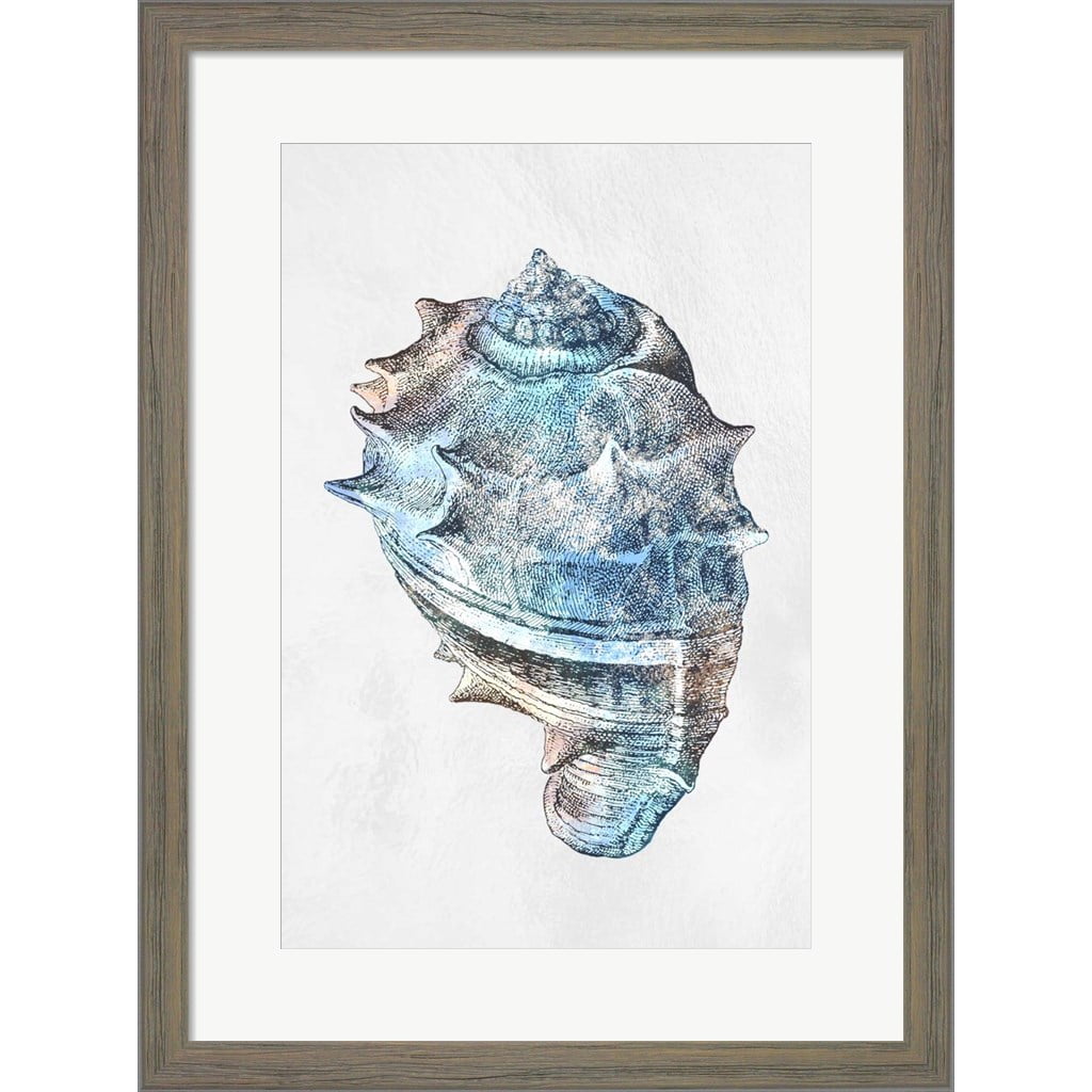 Great Art Now Urban Sea Shell 2 by Marcus Prime, Framed Wall Art, 12W x ...