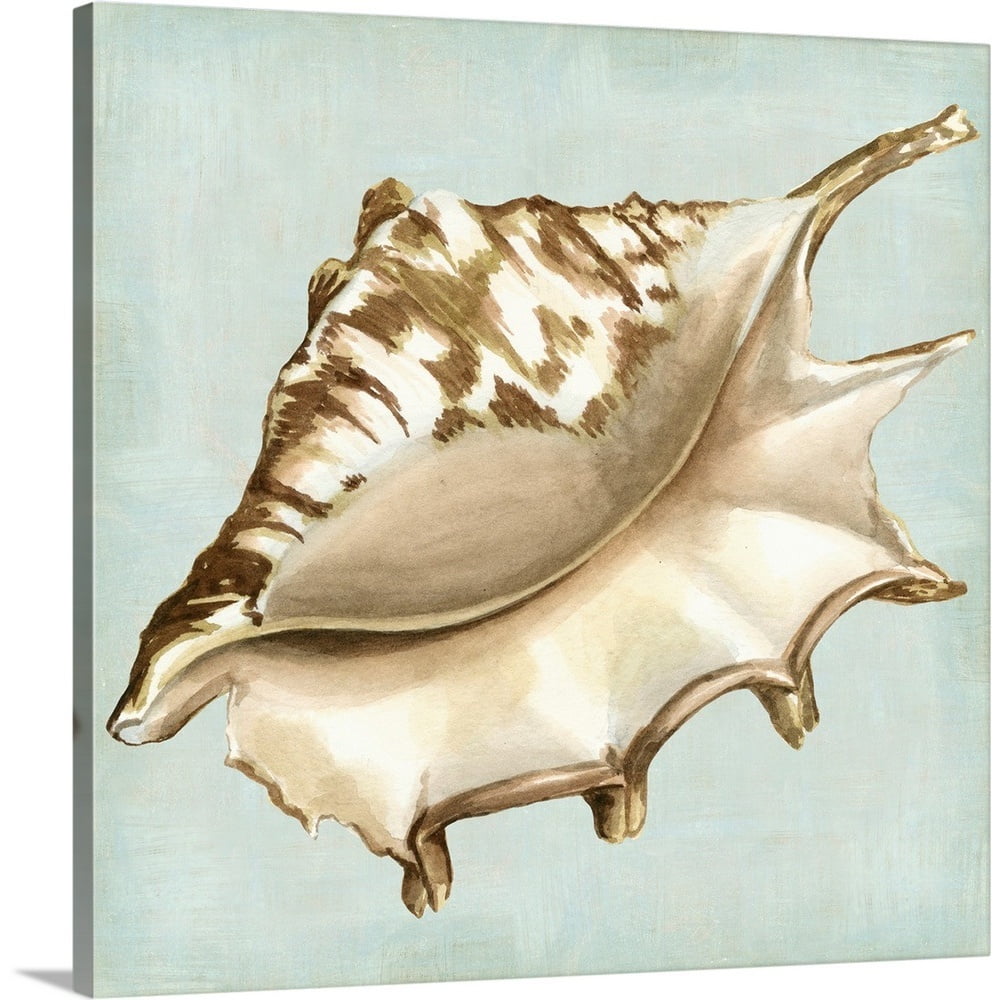Great Big Canvas "Sea Dream Shells IV" by Vision Studio Brown Black ...