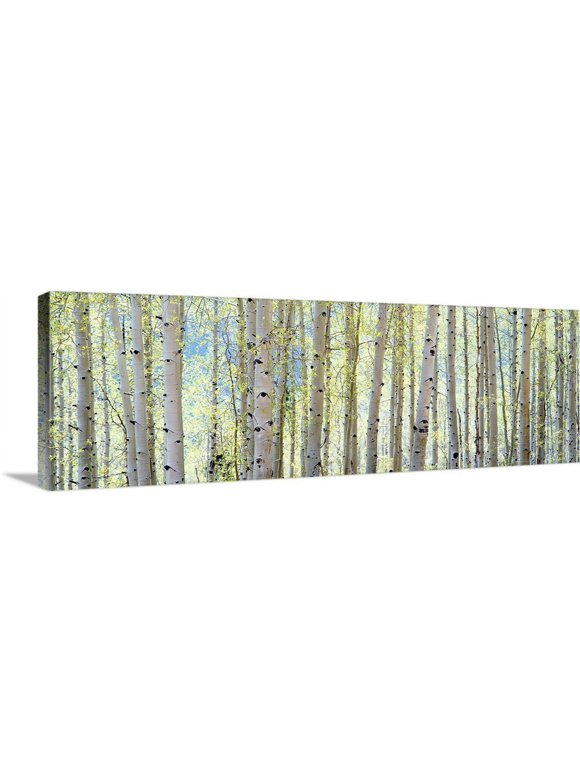 Great BIG Canvas Wall Art in Decor - Walmart.com
