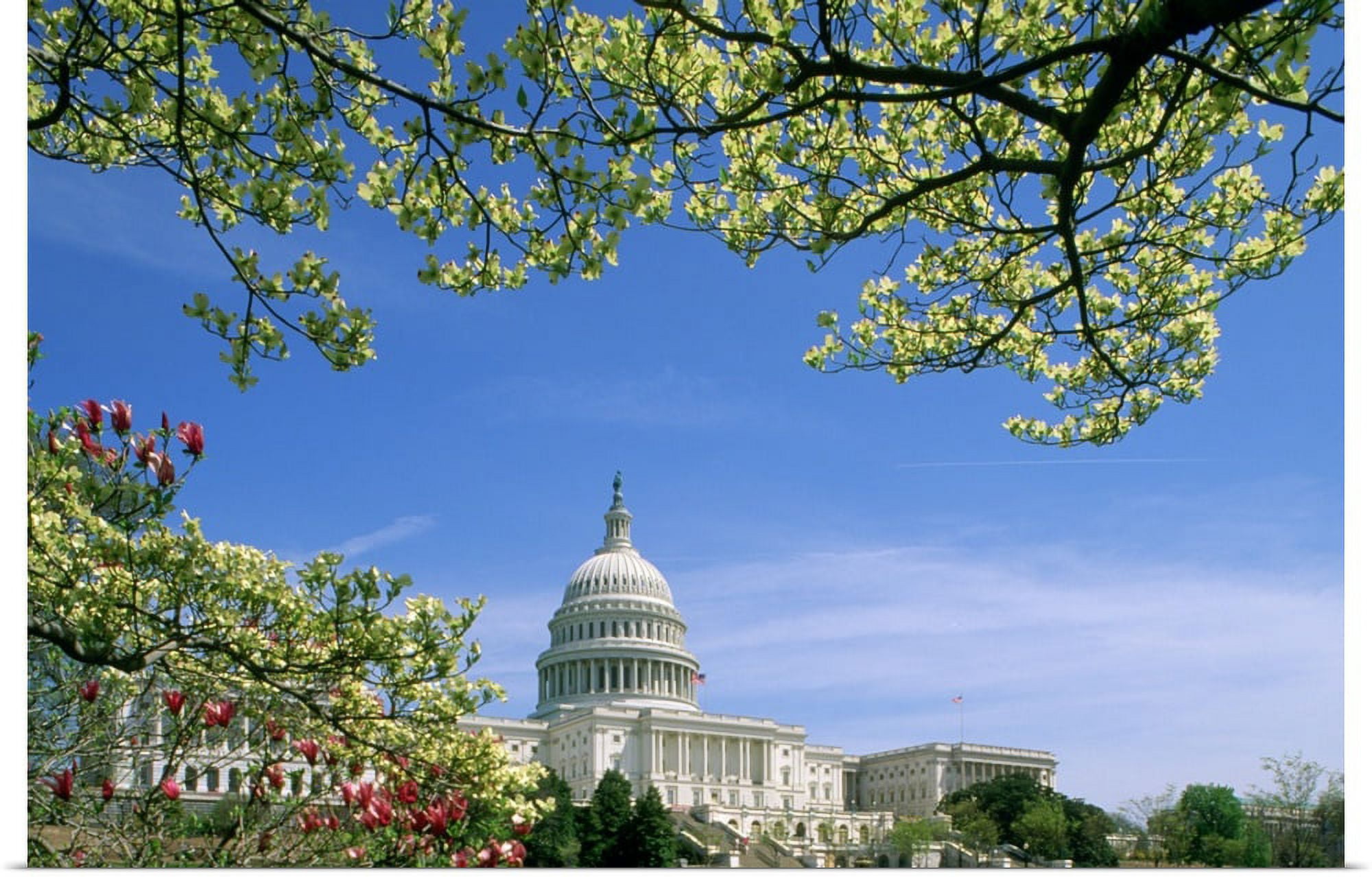 Great BIG Canvas | "Capitol Building Washington, DC, USA" Art Print ...