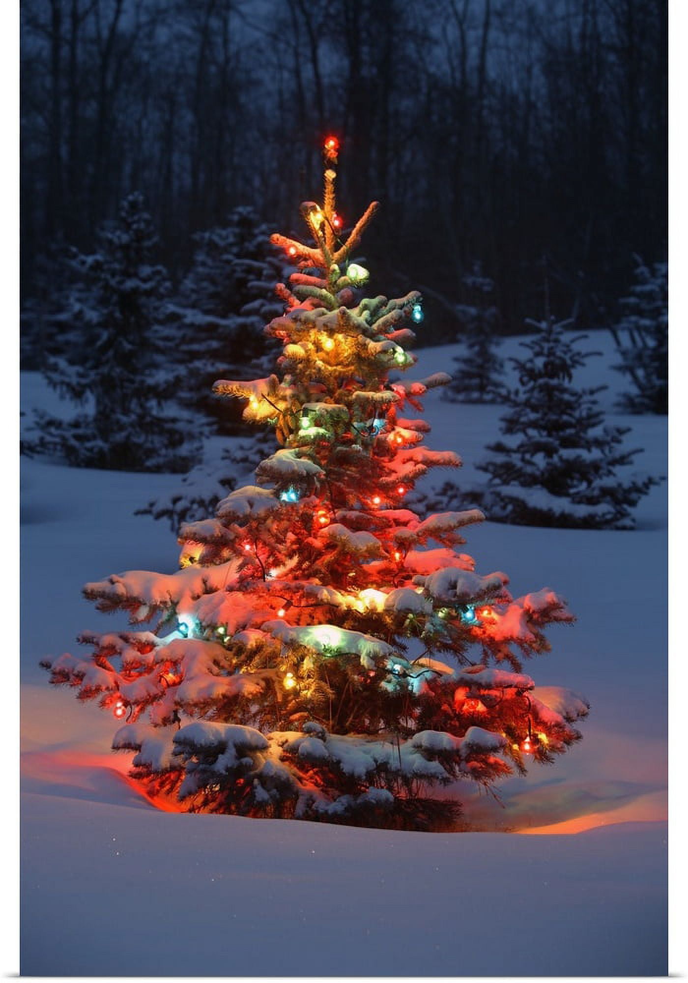 GBC | "Christmas Tree With Lights Outdoors In The Forest" Art Print ...