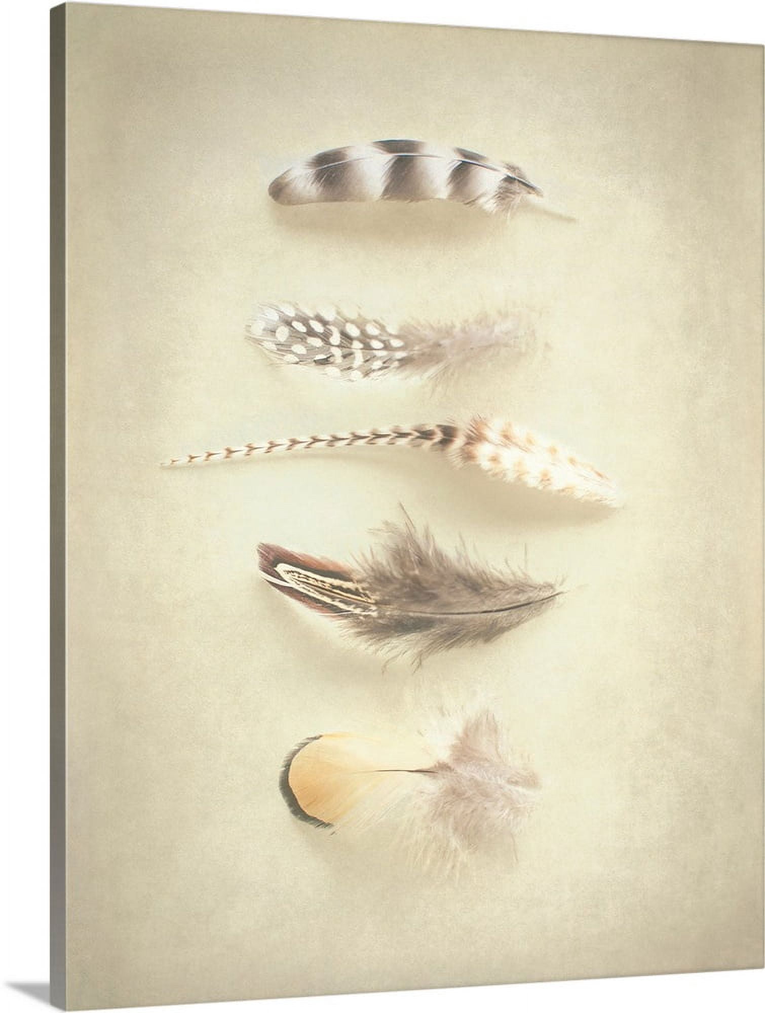 Great BIG Canvas | "Feathers III" Canvas Wall Art - 24x30 - Walmart.com