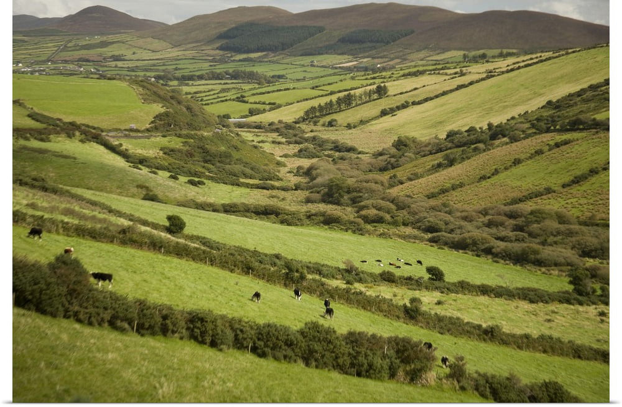 Great BIG Canvas | "Irish Countryside, Ireland, Farms, Landscape ...