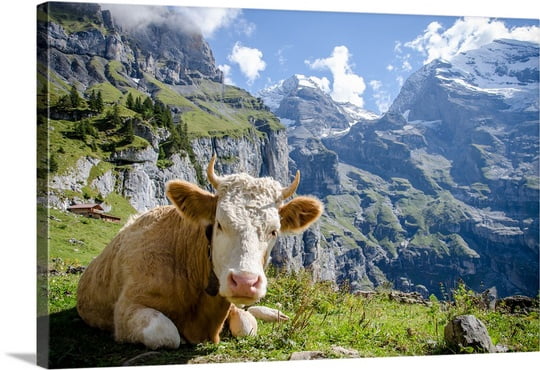 Great BIG Canvas Max Karmazin Premium Thick-Wrap Canvas entitled Swiss ...