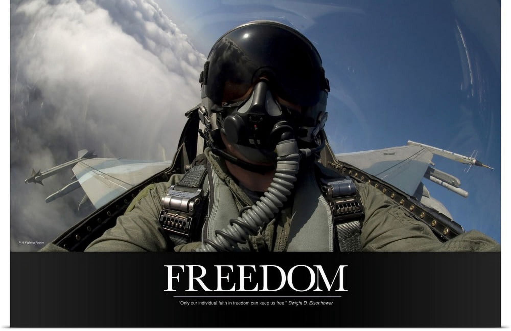 Great BIG Canvas | "Military Motivational Poster: Freedom" Art Print ...