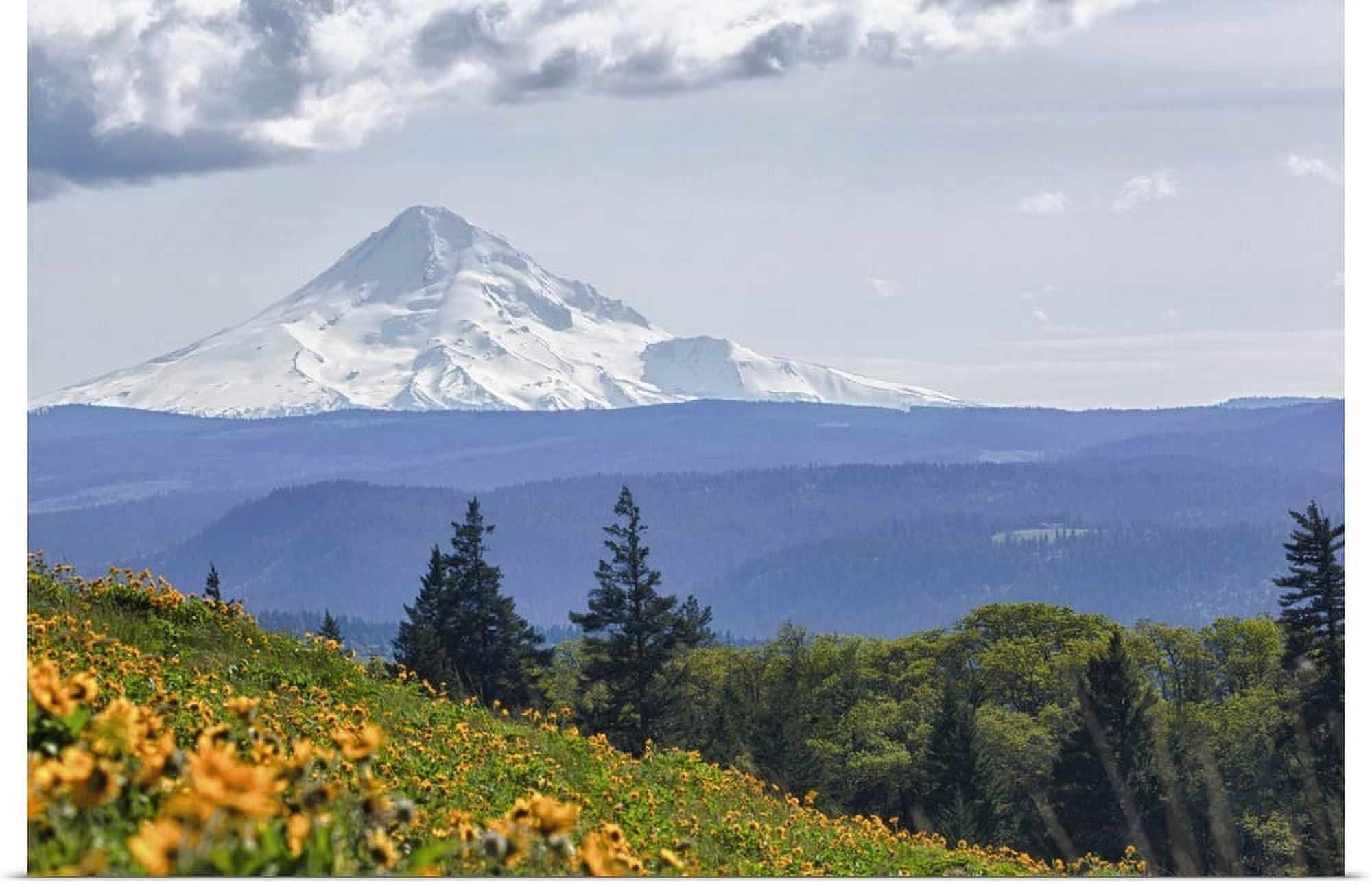 Great BIG Canvas | "Oregon, Columbia Gorge, Tom McCall Nature Preserve ...