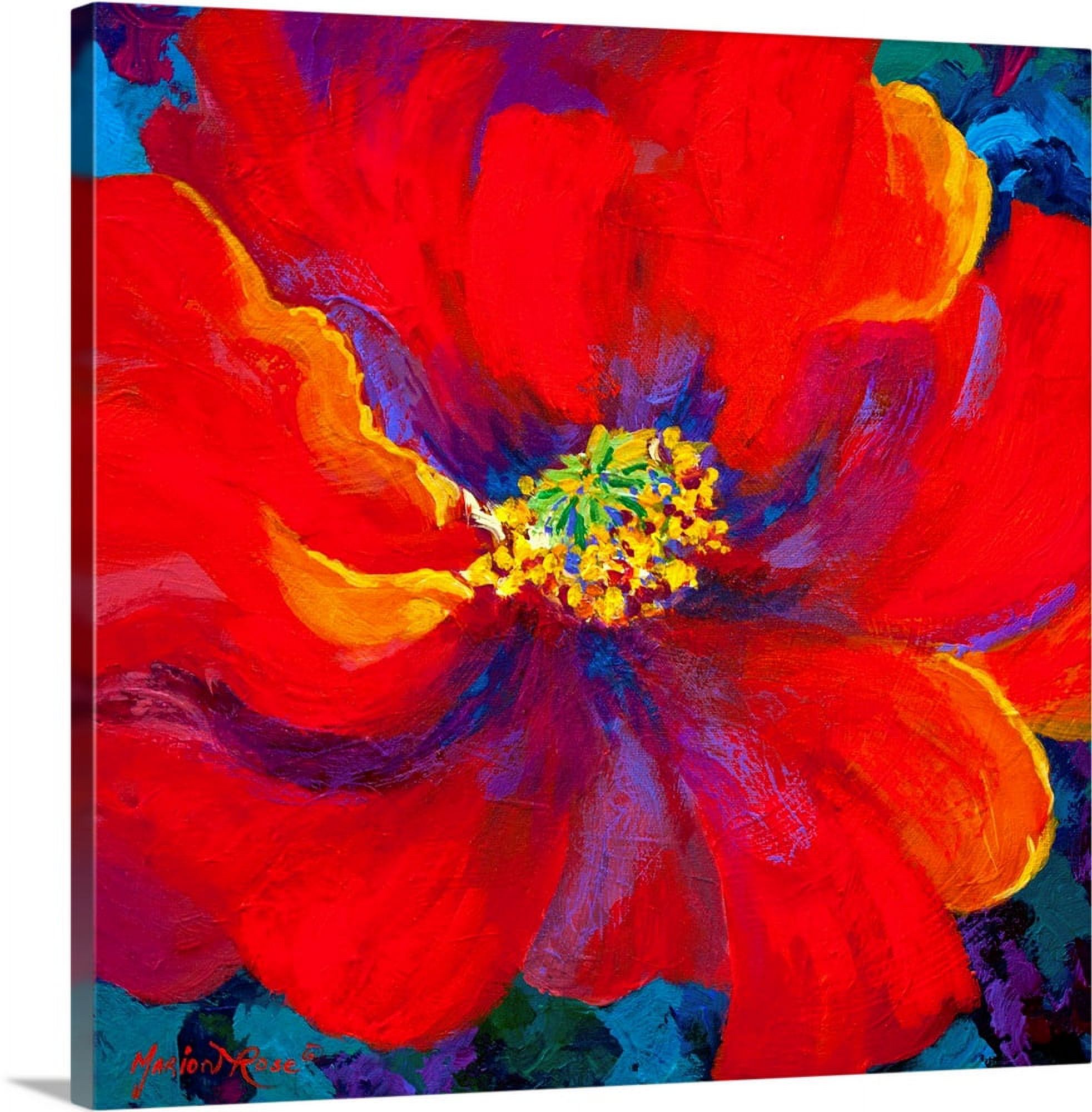 Trademark Fine Art "Red Poppy" Canvas Art by Color Bakery, White Matte ...