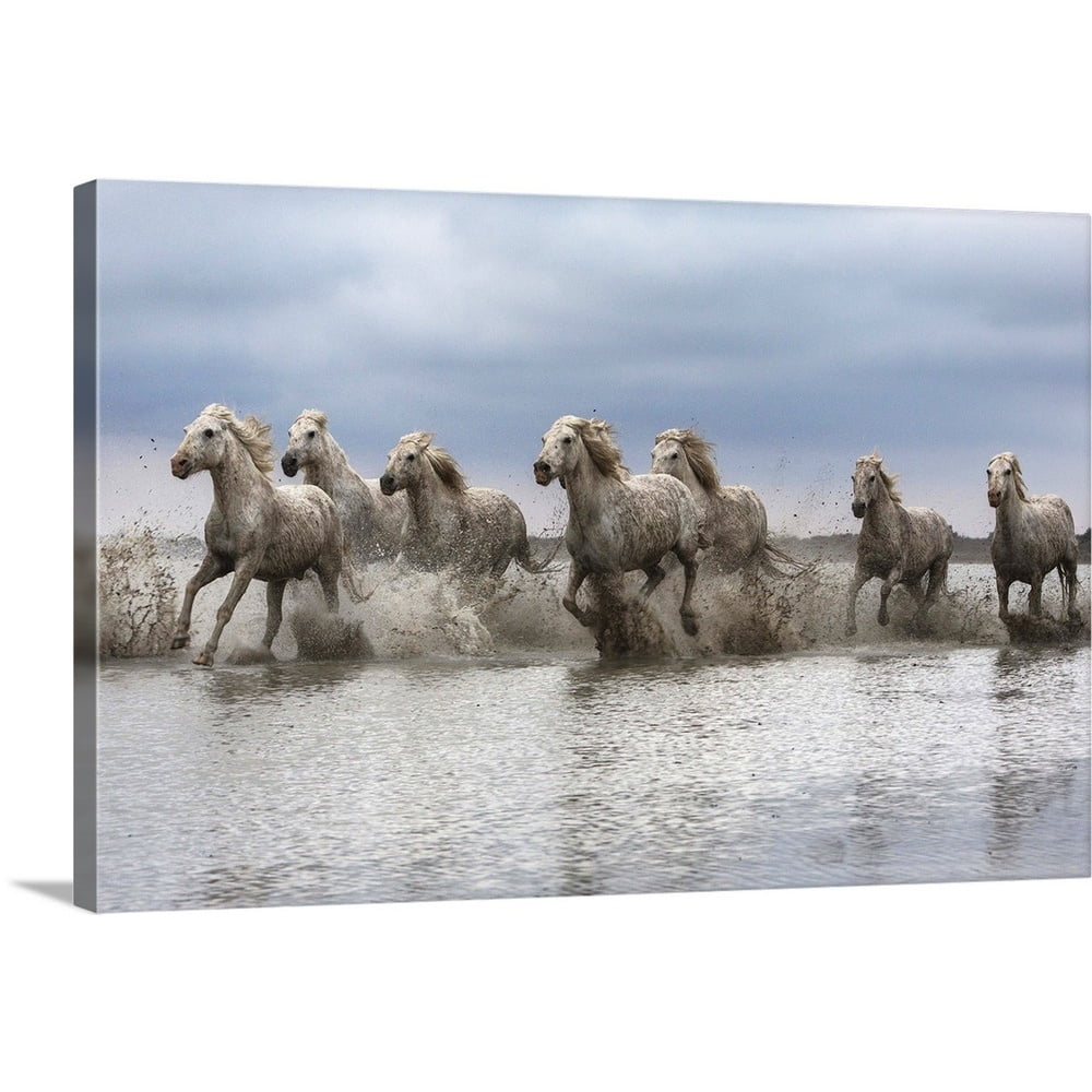 Great BIG Canvas Photography - Walmart.com