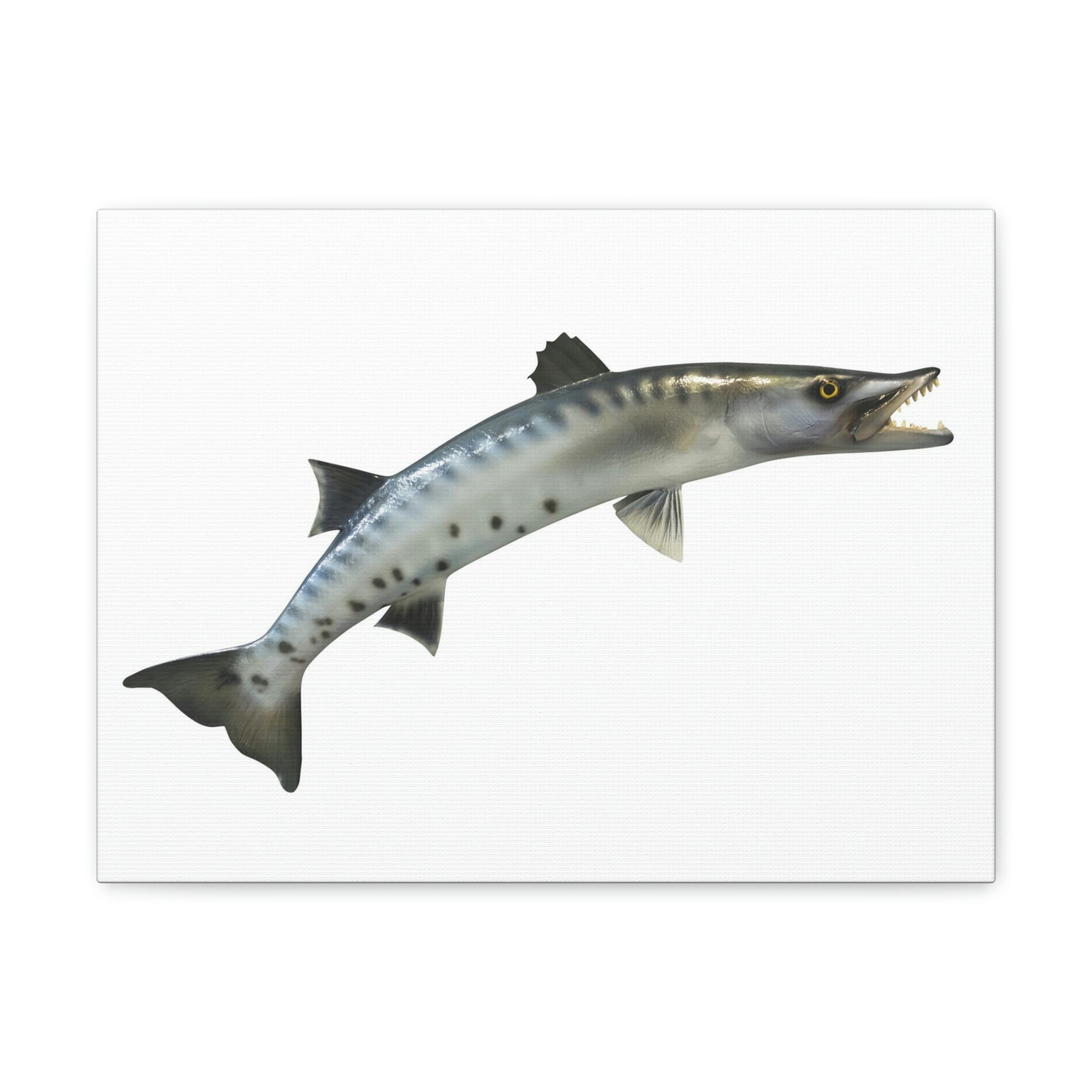Great Baracuda Outside Wall Art Ready to Hang Unframed - Walmart.com