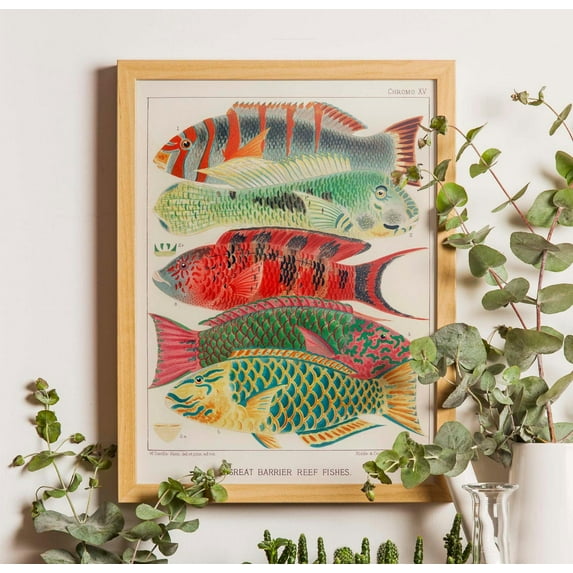Great Barrier Reef Fishes, Vintage Sea Poster, Great Barrier Reef ...