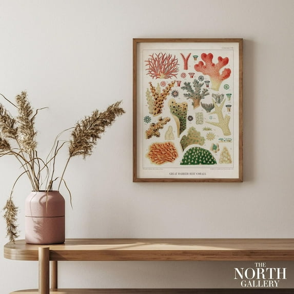 Great Barrier Reef Poster, Australia Wall Art, Ocean Life Print ...