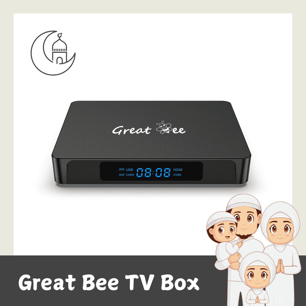 Great Bee Arabic TV Box Android 10 2+16G 5G 1 Year Wireless Greatbee ...