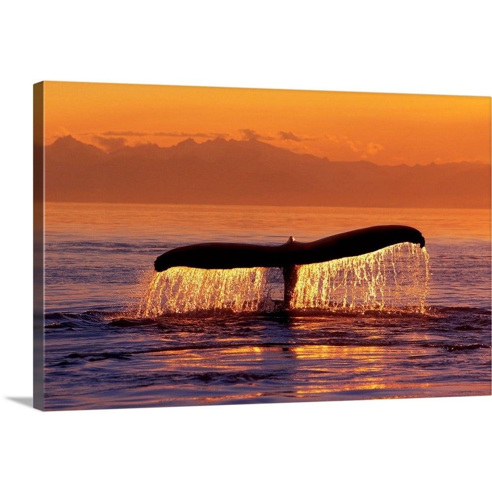 Great Big Canvas "Humpback Whale Fluke @ Sunset Inside Passage SE AK ...