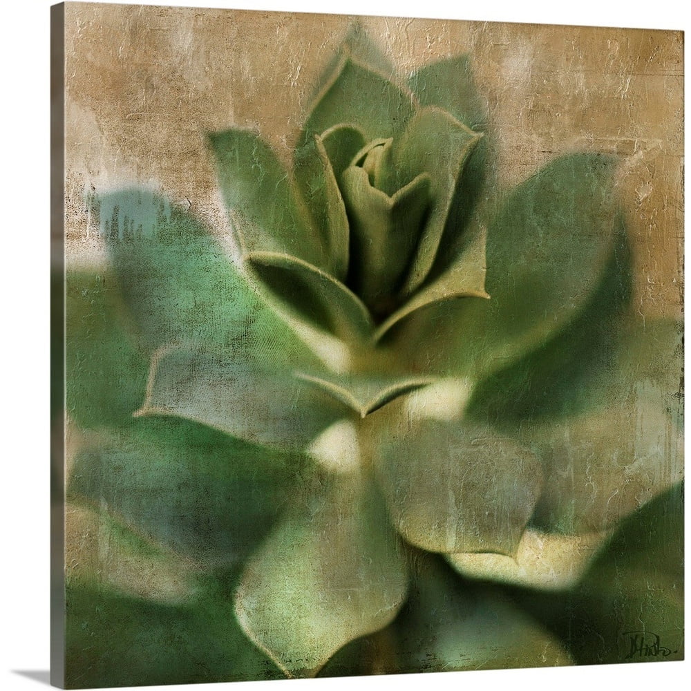 Great Big Canvas "Succulent I" by Patricia Pinto Light Gray Wrapped ...