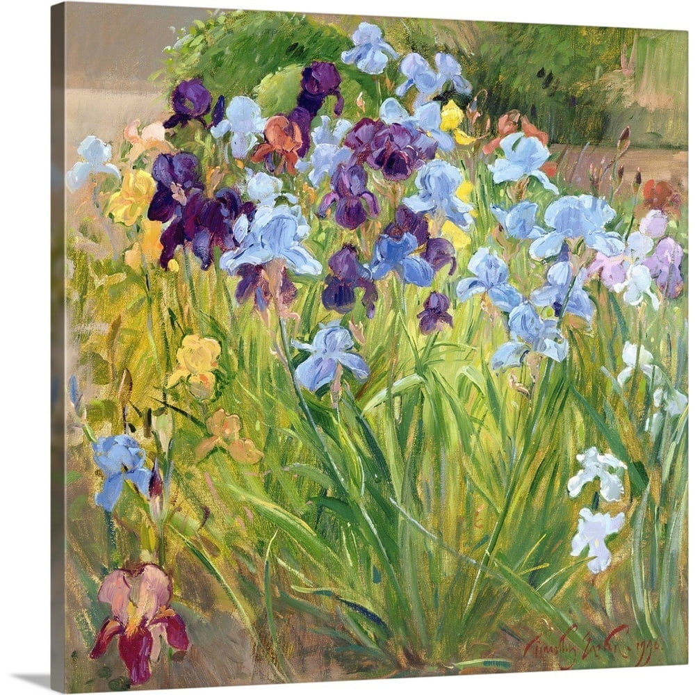 Great Big Canvas "The Iris Bed, Bedfield, 1996" by Timothy Easton White Olive Green Fine Art ...
