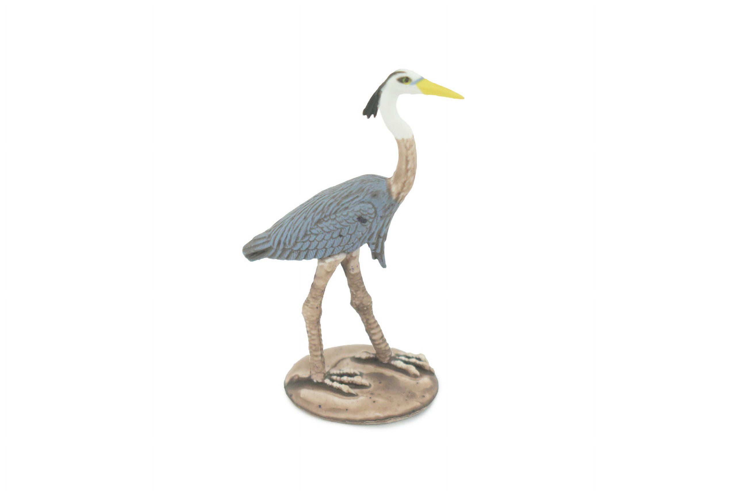 Great Blue Heron, Hand Painted, Educational, Rubber Bird, Realistic ...