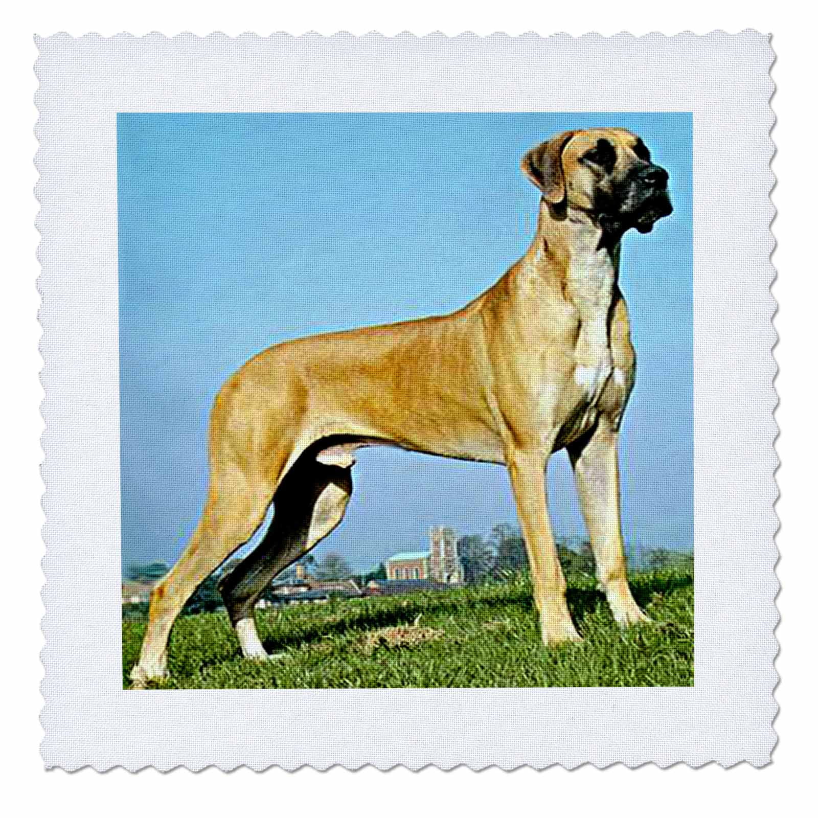 3dRose, Great Dane, 10x10 inch quilt square - Walmart.com