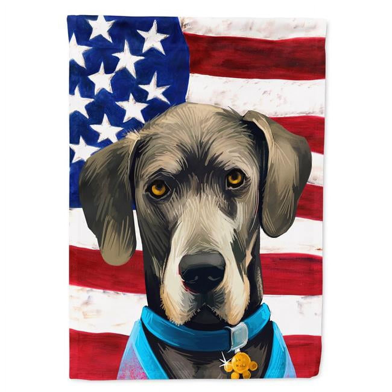 Great Dane Dog American Garden Flag - 11 x 0.01 x 15 in. - Walmart.com