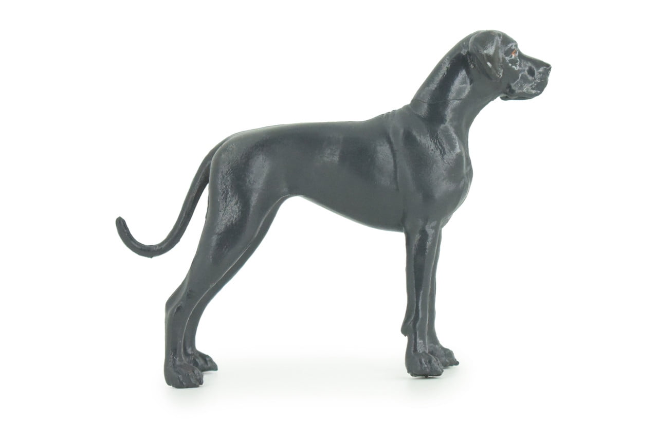 Great Dane Dog, Hand Painted, Educational, Museum Quality, Realistic ...