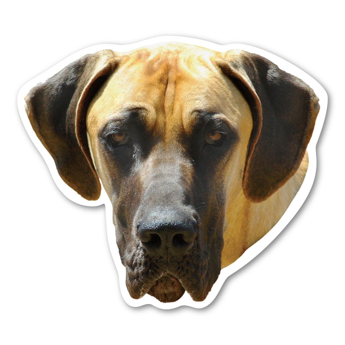 Great Dane Dog Magnet - Walmart.com