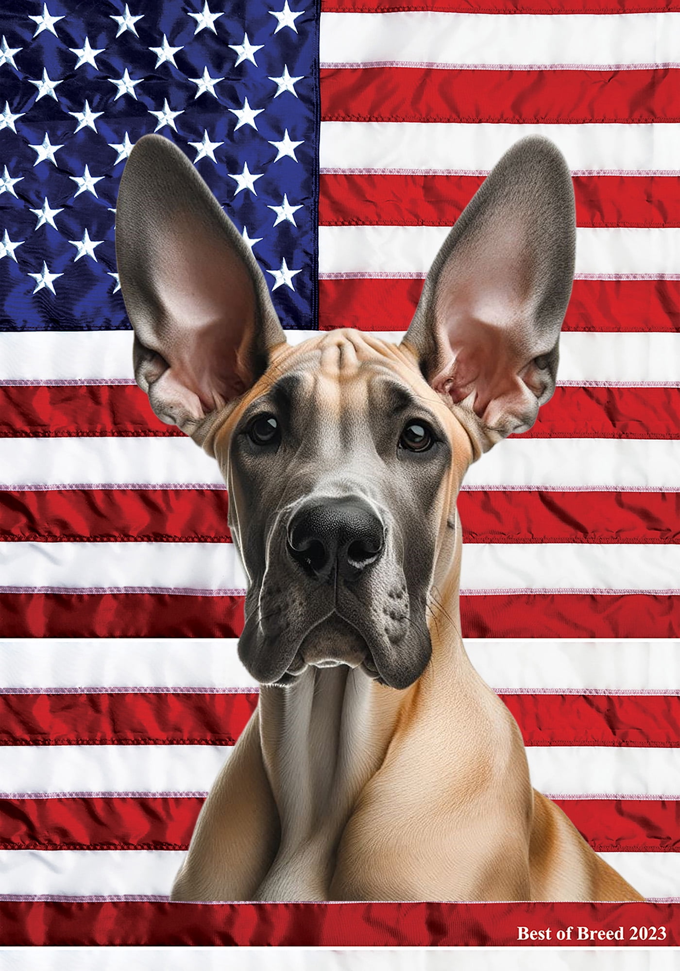 Great Dane Fawn Cropped - Best of Breed All-American Patriotic III ...