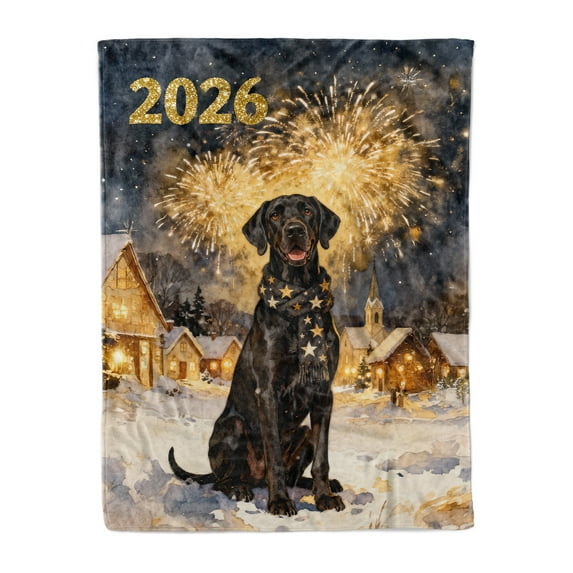 Great Dane Happy New Year 2026 with Fireworks on New Year's Eve Cozy ...