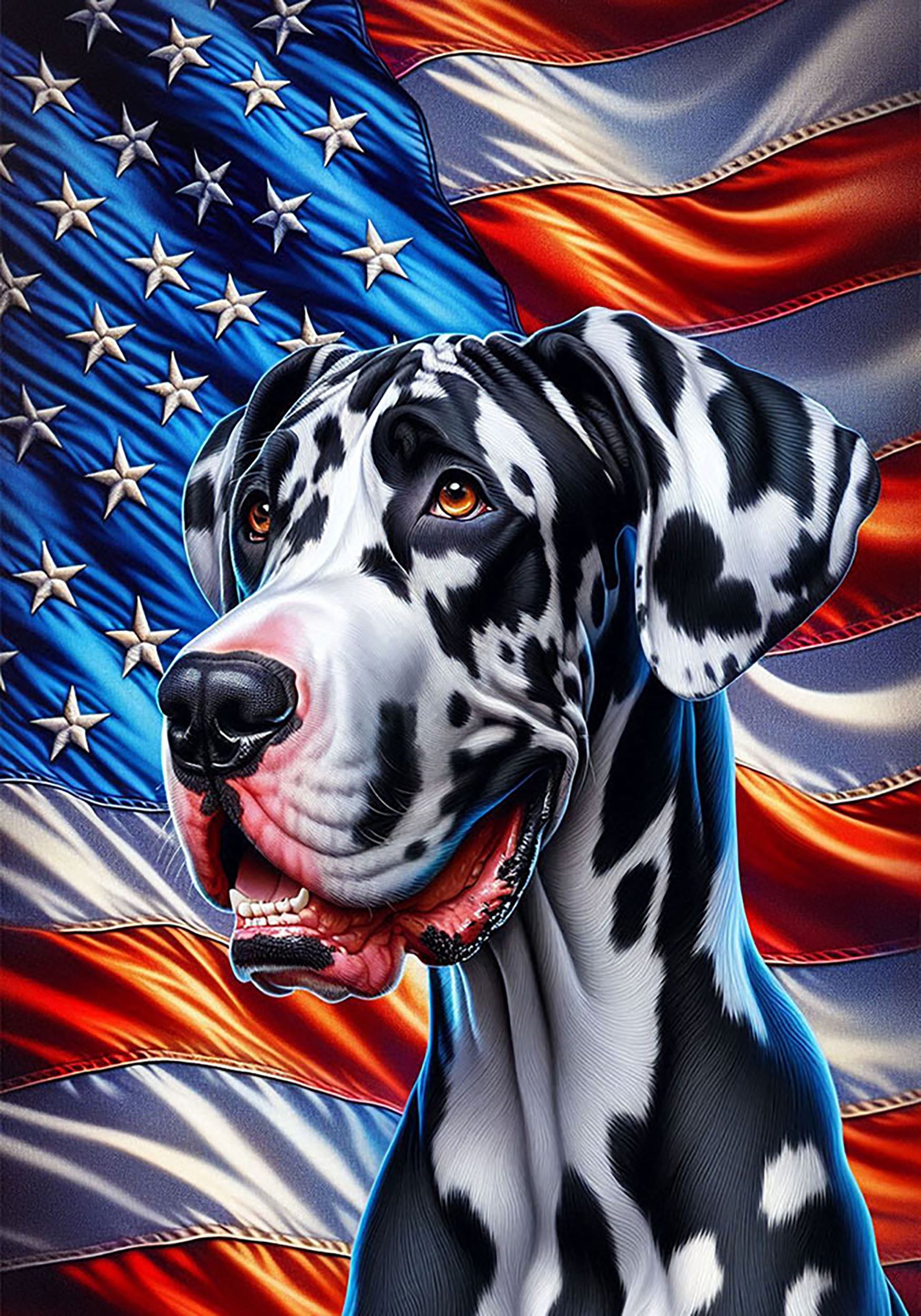 Great Dane Harlequin Uncropped - Best of Breed DCR Patriotic III ...