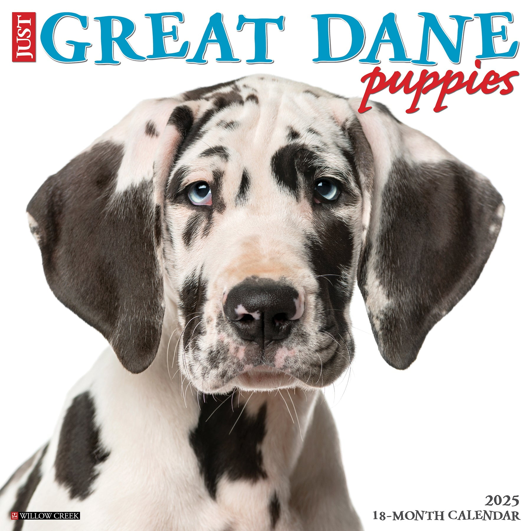 Great Dane Puppies 2025 Wall Calendar - Walmart.com