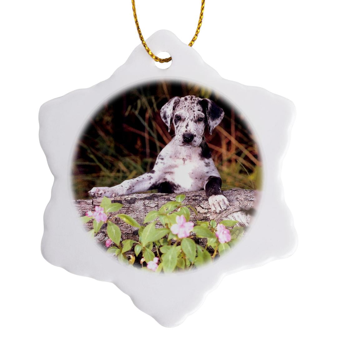3drose, Great Dane Puppy, 3 inch Snowflake Porcelain Ornament - Walmart.com