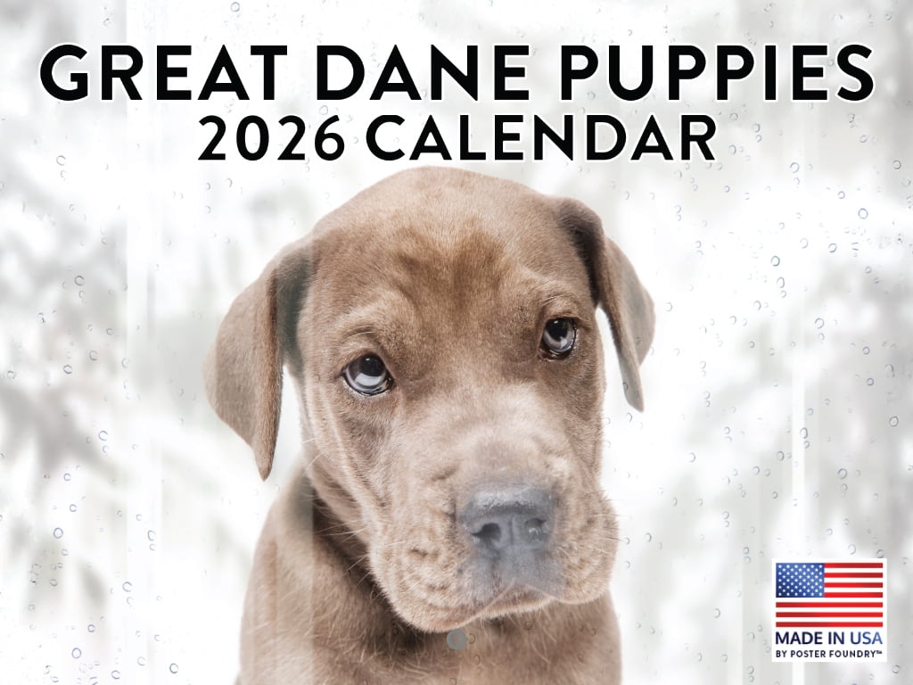 Great Dane Puppy Calendar 2026 Monthly Wall Calender 12 Month ...