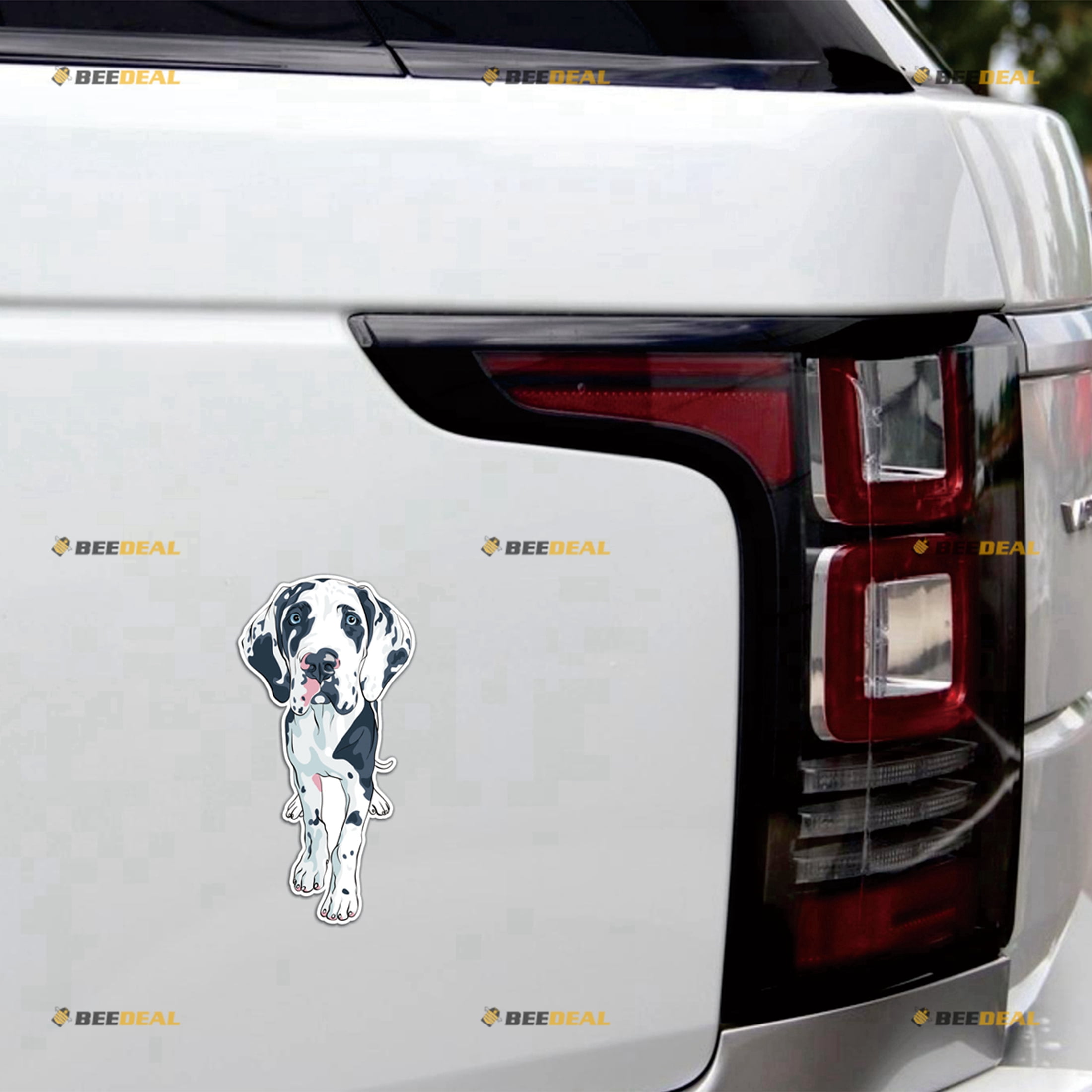 Great Dane White Spotted Dog Standing Looking Car Magnet Sticker ...