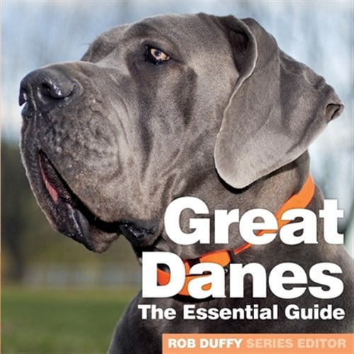 Pre-Owned Great Danes: The Essential Guide - Walmart.com