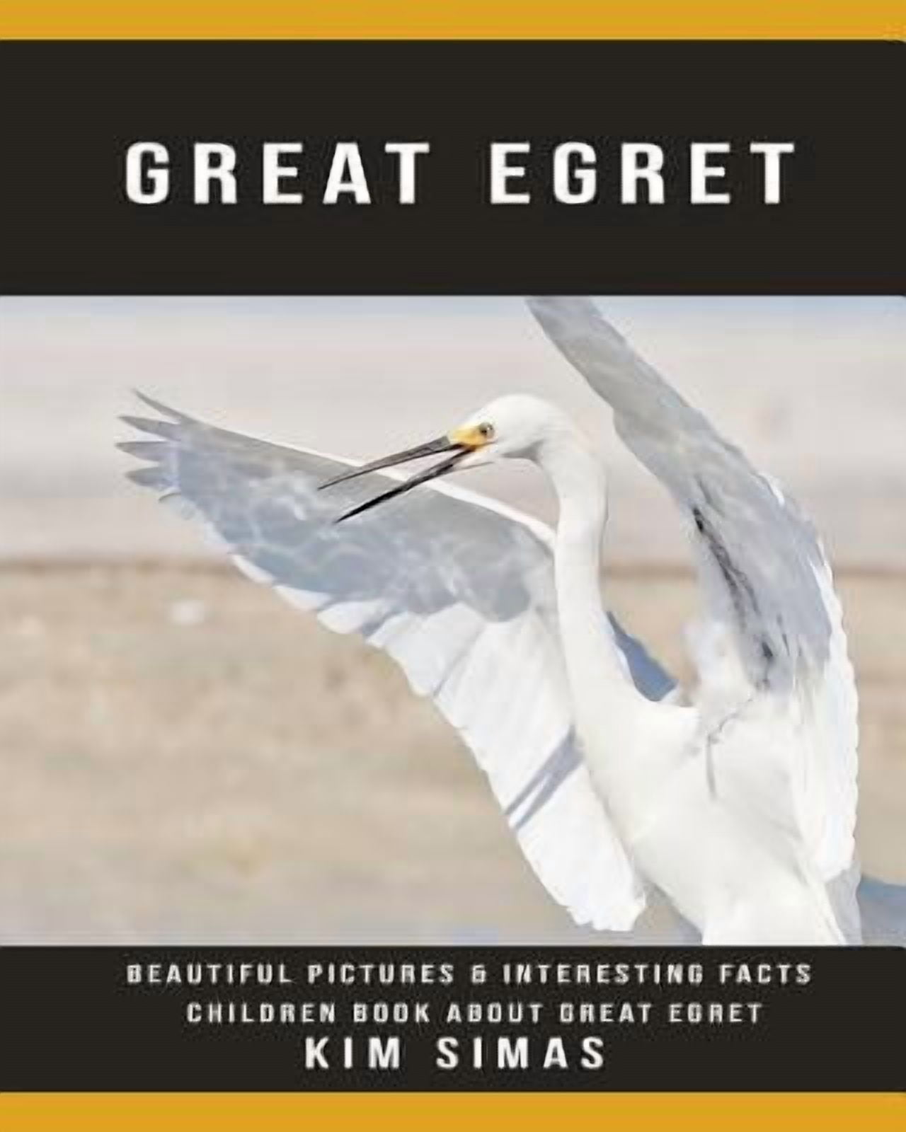 Great Egret: Beautiful Pictures & Interesting Facts Children Book about ...