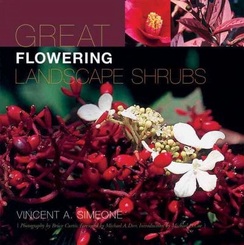 Great Flowering Landscape Shrubs (Hardcover) - Walmart.com