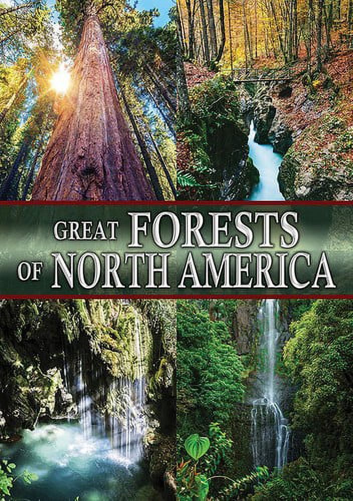Great Forests of North America (DVD), World Wide Multi Med, Special Interests - Walmart.com