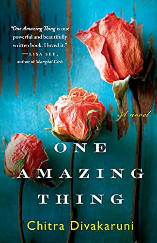 Pre-Owned One Amazing Thing (Paperback) 1401341586 9781401341589 ...