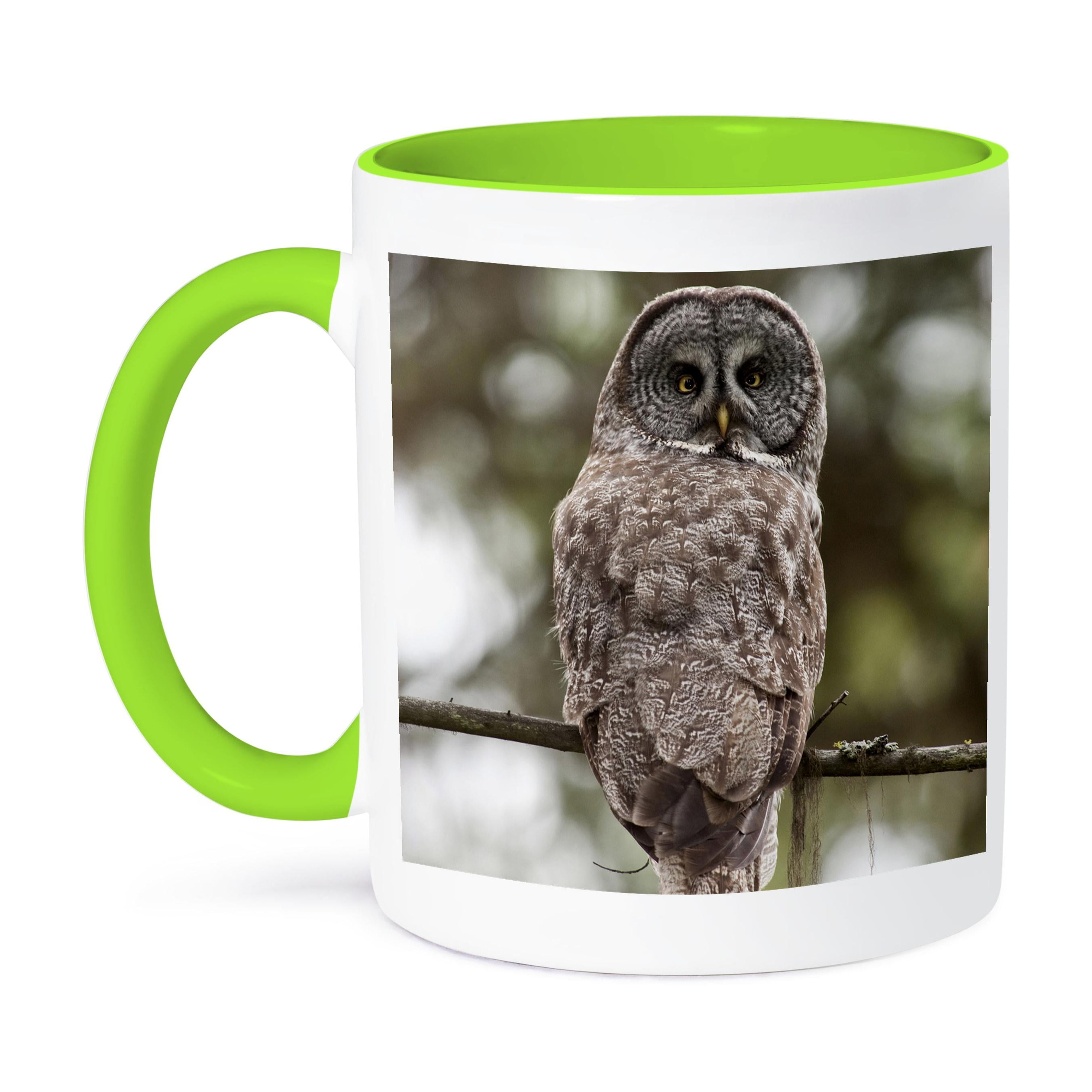 Great Grey Owl, Blue Mountains Of Oregon - Us38 Rbr0059 - Rick A. Brown ...