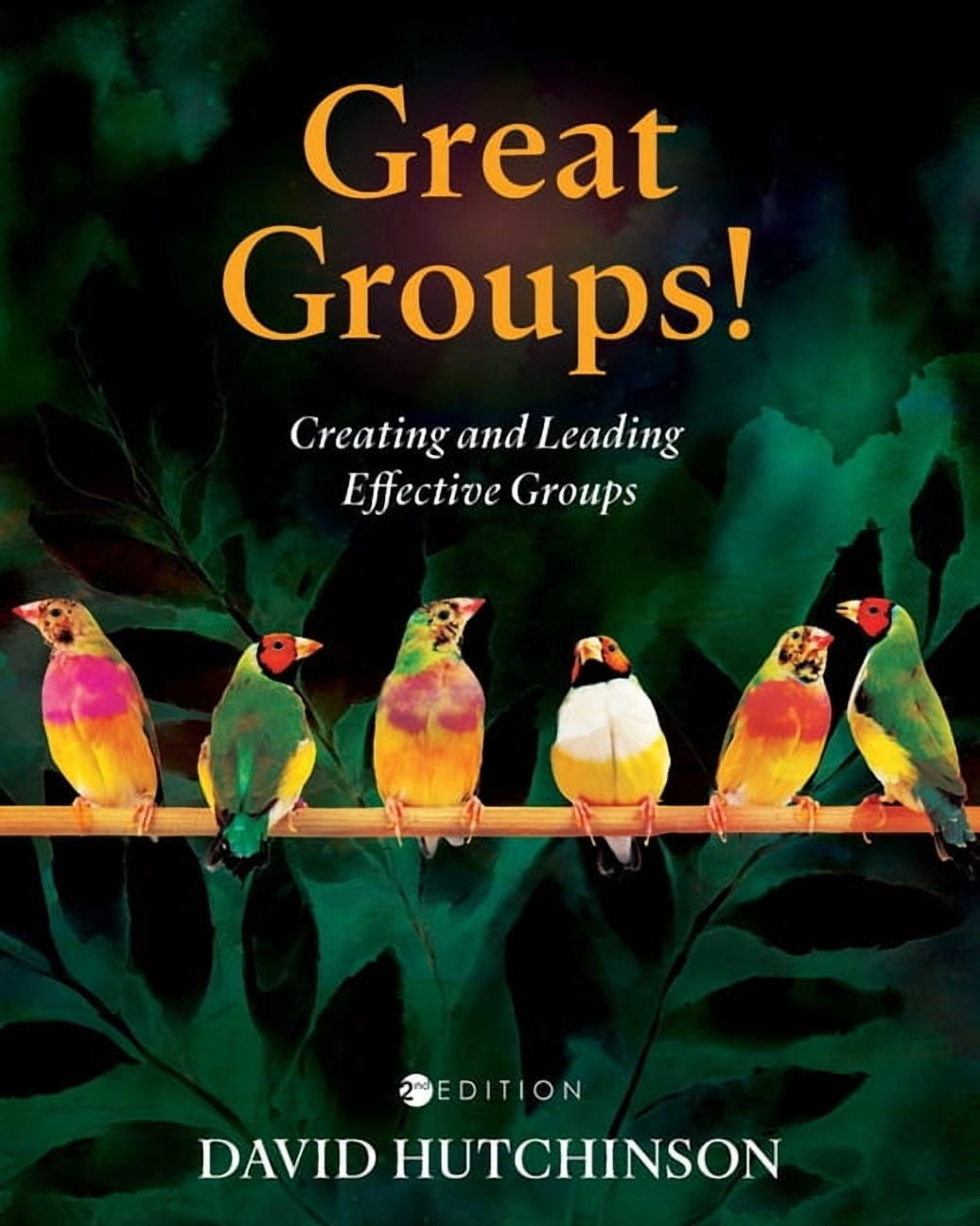Great Groups!: Creating and Leading Effective Groups, (Paperback ...