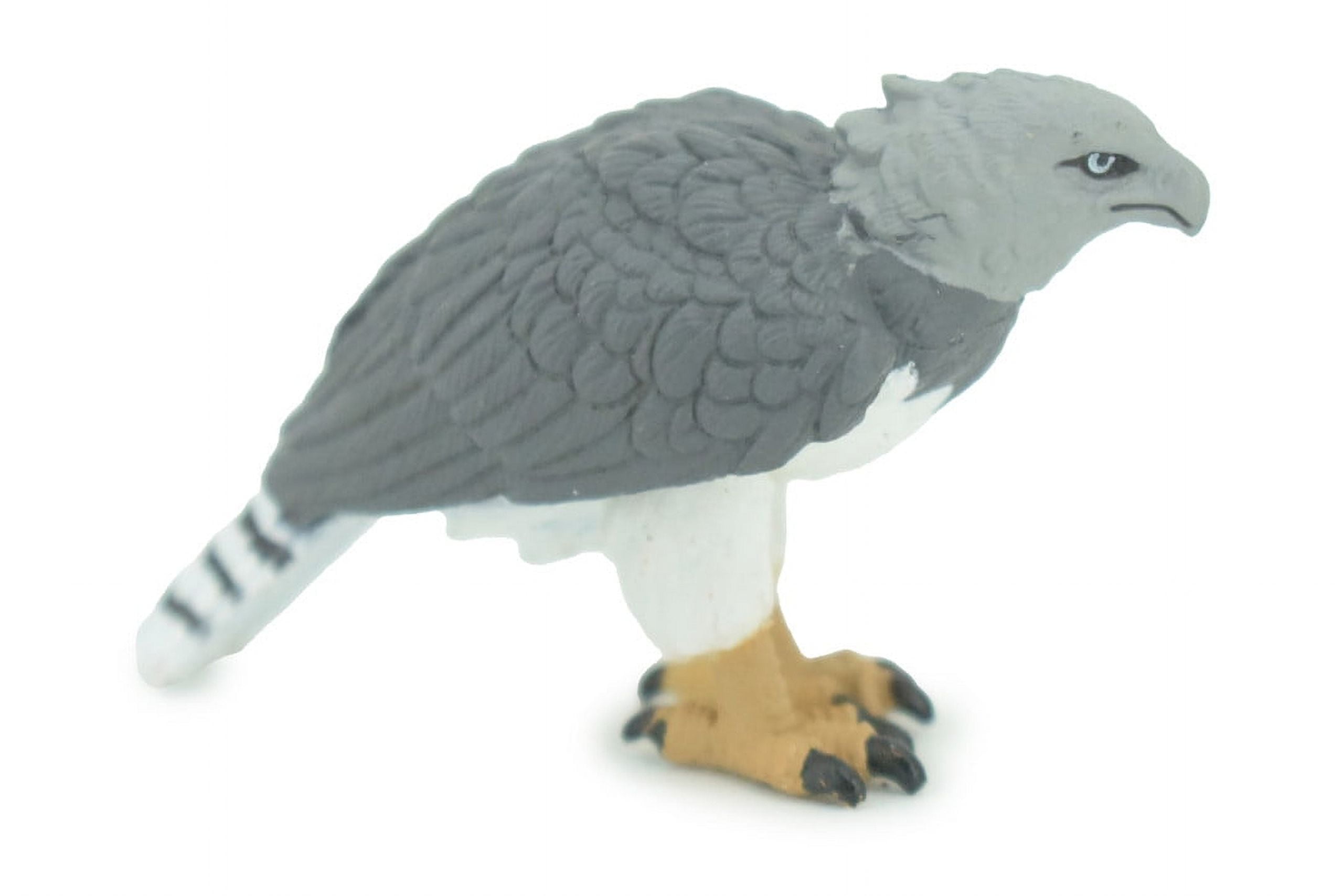 Great Harpy Eagle Toy, Harpia harpyja, Hand Painted, Educational ...