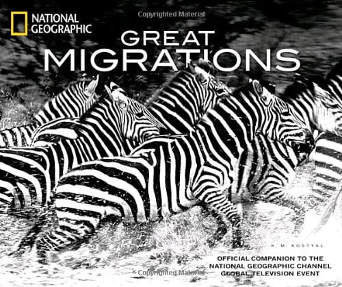 Pre-Owned Great Migrations: Epic Animal Journeys Paperback - Walmart.com