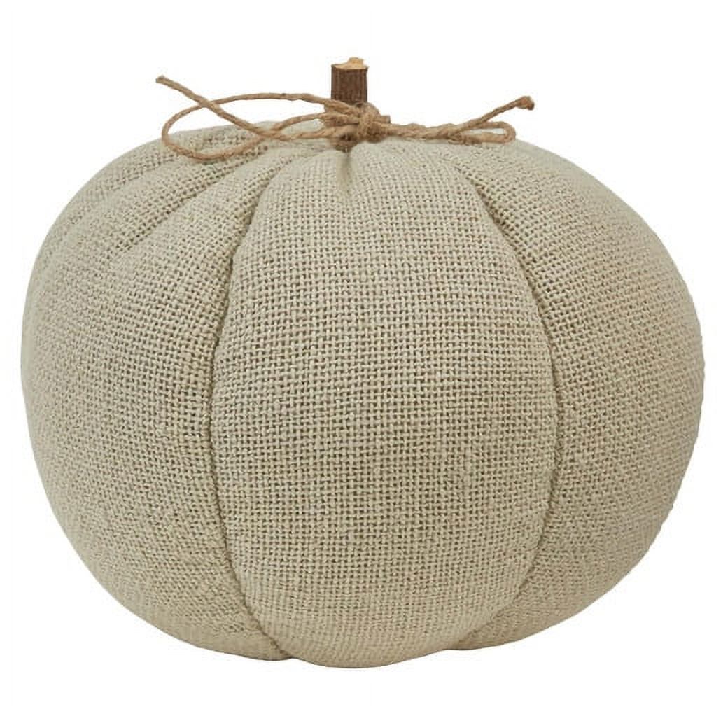 Great Natural Filled Pumpkin - Walmart.com