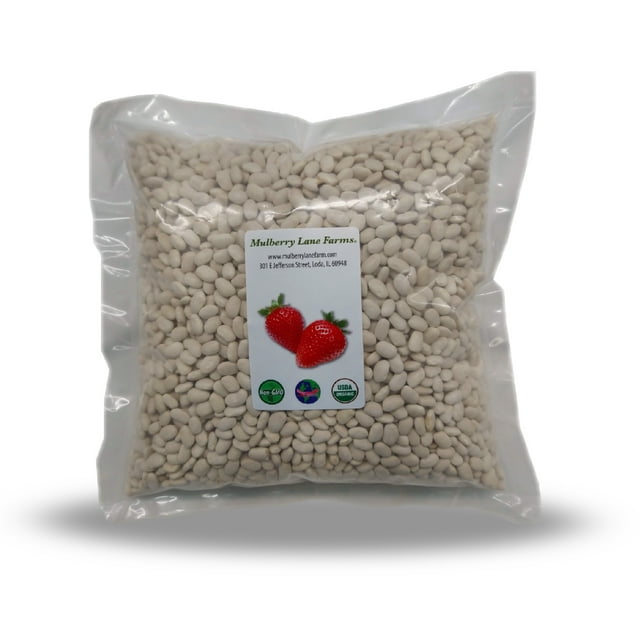 Great Northern Beans 5 lbs (five pounds) USDA Certified Organic, Non-GMO, Bulk, by Mulberry Lane ...