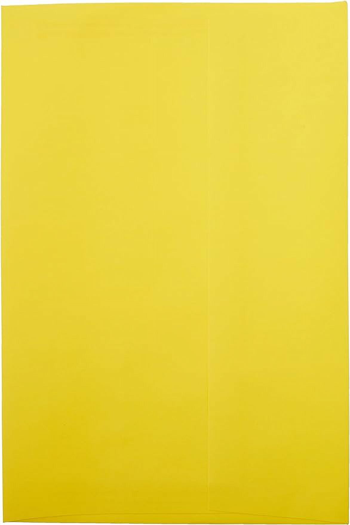 Great Papers! Bright Yellow Envelopes, 6"x9", 25 Count (980032 ...