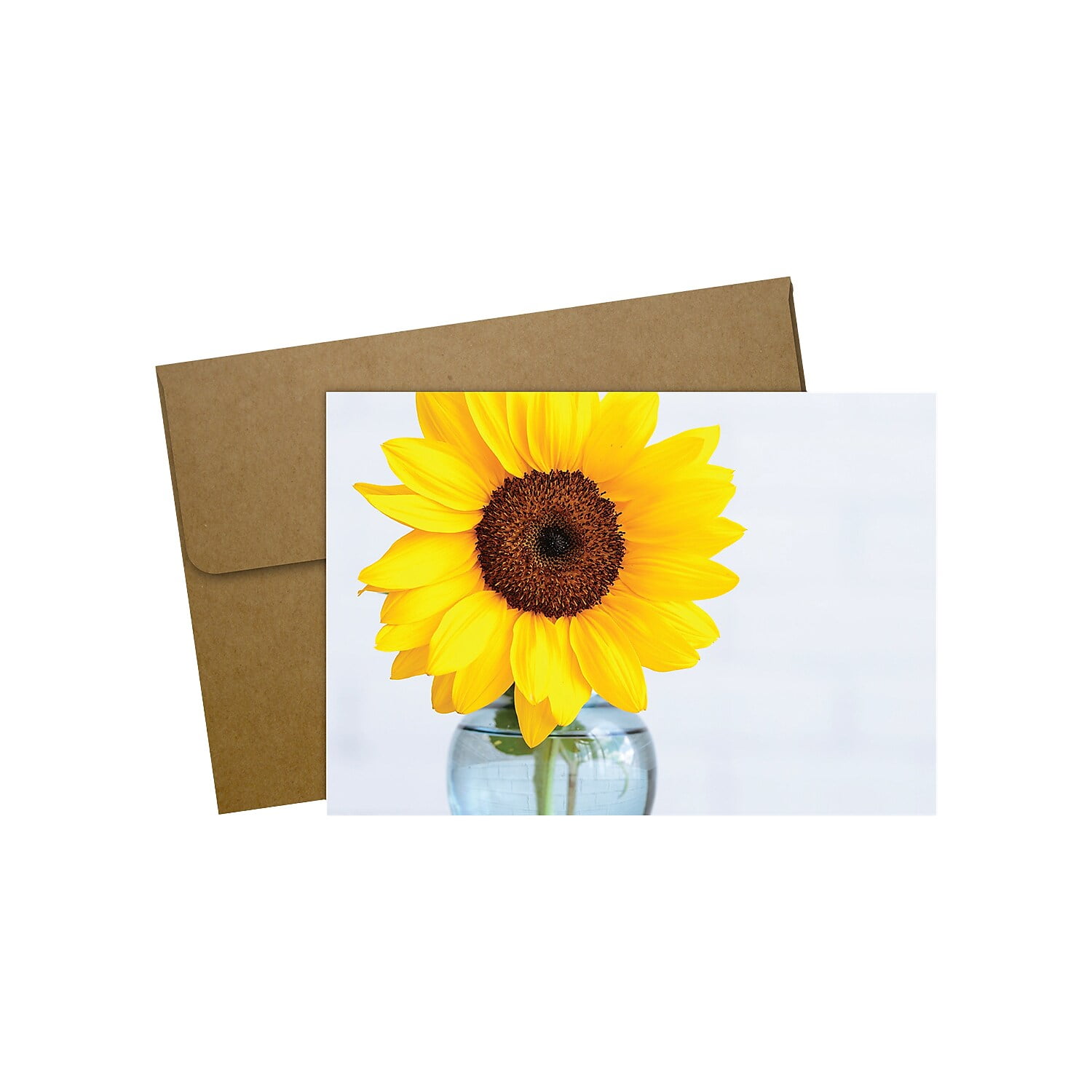 Great Papers! Brighter Days Smooth Personal Notecard White/Yellow 50 ...