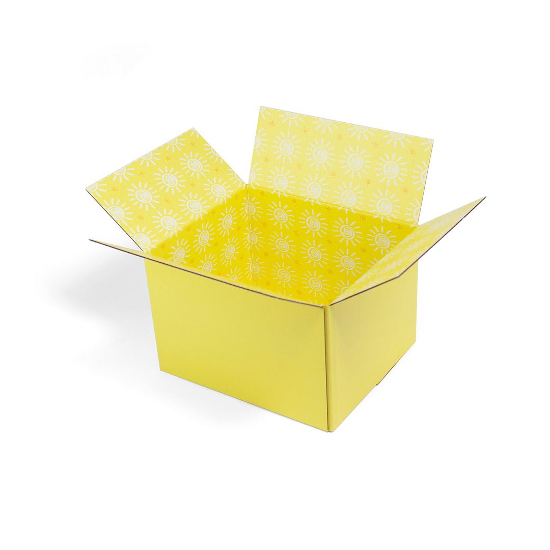 Great Papers! Cute Empty Cardboard GiftIn Shipping Box, Sunshine Care ...