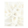 Great Papers White Calla Lilies Letterhead 80 count 2014286 - Walmart.com