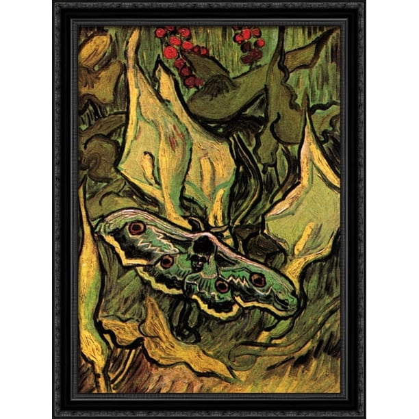 Great Peacock Moth 28x38 Large Black Ornate Wood Framed Canvas Art by ...