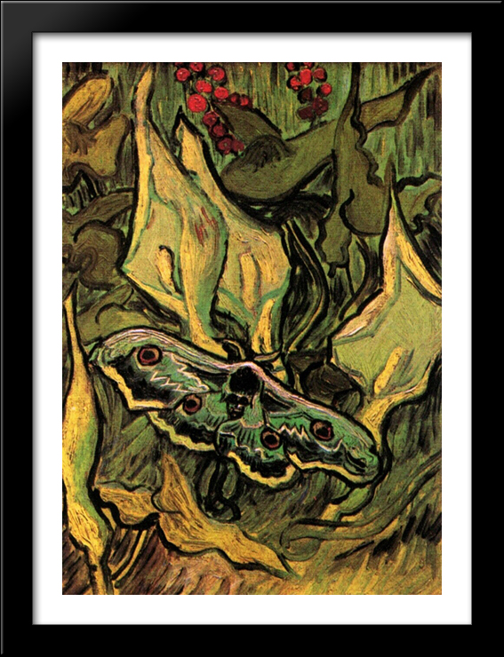 Great Peacock Moth 28x38 Large Black Wood Framed Print Art by Vincent ...