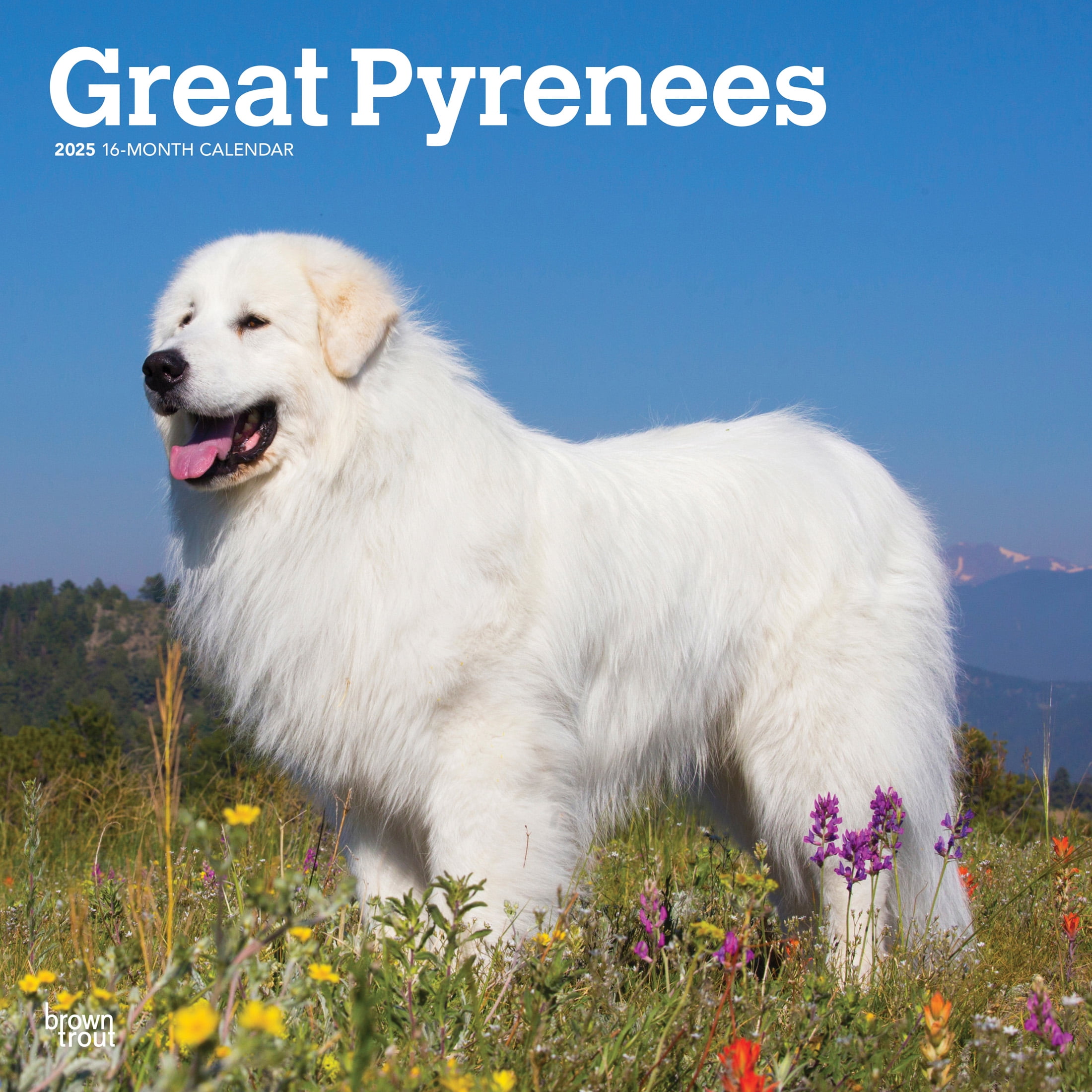 Great Pyrenees | 2025 12x24" (Hanging) Wall Calendar | Plastic-Free ...
